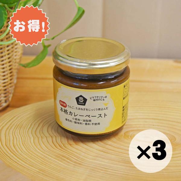 オーサワ、ムソーの自然健康食品。カレーペースト。お得な３個セットです。小麦粉、油脂類、化学調味料不使用。果実と野菜の本格カレーペースト。これだけで、ドライカレーが簡単に作れます。なめらかなペースト状なので、肉や魚に塗って焼いたり、パスタや炒...