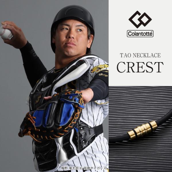 シリコンループには160mT（1600G）×8個の希土類永久磁石を首周りに沿うように内臓しています。独自のN極S極交互配列で磁力が広範囲に影響し、首・肩の血流を改善、筋肉のコリを緩和します。■カラー：PGD（プレミアムゴールド）※ループカラ...