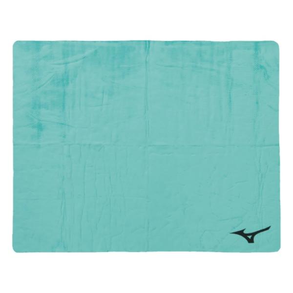 ベーシックな無地タイプです。拭いて絞って何度も使える吸水タオル■カラー：33グリーン■サイズ：34×44cm■原産国：日本製■組成：本体/PVAスポンジ中芯/ポリエステル検索ワード：水泳タオル プールタオル セームタオル