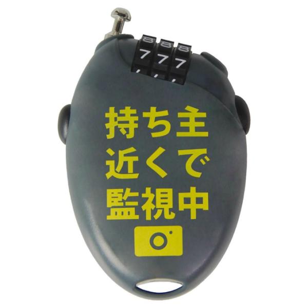 ゲレンデでの盗難防止に。ウィットの効いたメッセージ入り。■カラー：BK■大きさ：17.5 × 8.5 × 2.3 cm■品質：ABS樹脂■重さ：0.063 kg■生産国：台湾■特徴：・ケーブル最大長70cm・ワンタッチ操作の巻取り式コード・...