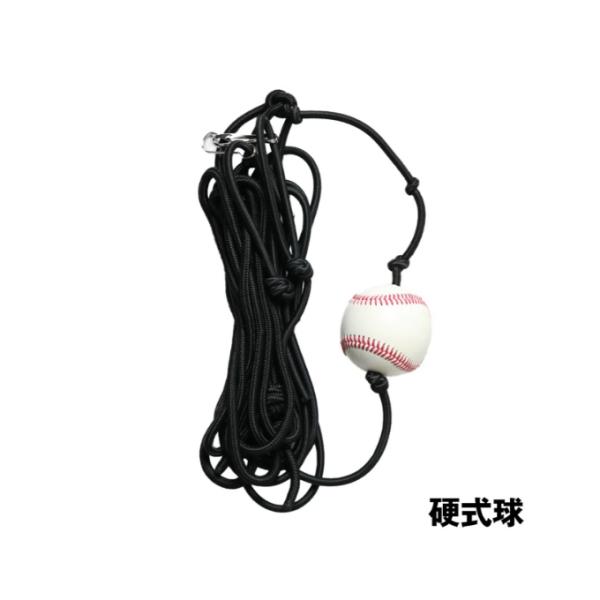 エンドレスティー専用の交換用スペアです。※エンドレスティー本体には軟式球のみ付属しています。■カラー：硬式球■対応商品：エンドレスティー(FBT-700)■原産国：中国■使用上の注意：・使用前には必ず破損がないか確認してから練習をしてくださ...
