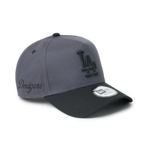 コントラストの効いた2トーンカラーが、スタイリングにメリハリを加えるデザイン■カラー：DGY/ブラック(ダークグレー/ブラック)■サイズ：OSFM■素材：綿■原産国：中国■特徴：・サイドに配されたチームロゴやスクリプトロゴが、スポーツマイン...