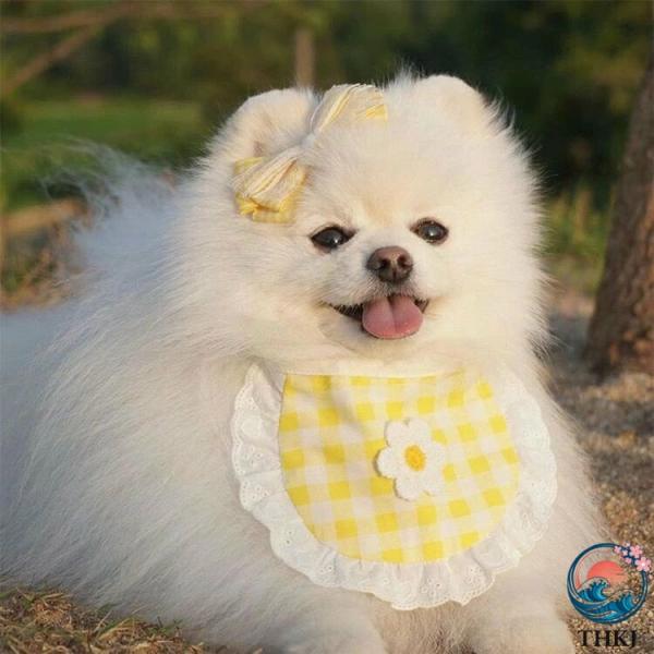 よだれかけ チェック柄 レース 16*11cm 刺繍 花 フラワー かわいい 猫 犬 首飾り ペット用スタイ 【選べる2点セット】