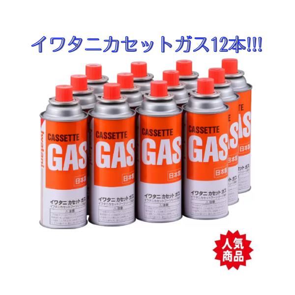 日本製。1本あたりのガス容量は250g。