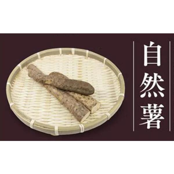 愛媛 広田の自然薯は、強い粘りとコク、独特の香りが特徴です。 栄養豊富で「山菜の王者」とも呼ばれています。 栄養価が高く、料理やお菓子にも合わせやすく使い勝手がいい食材で、そのまま食べるのはもちろん、とろろそば、とろろめしをはじめ、お好み焼...