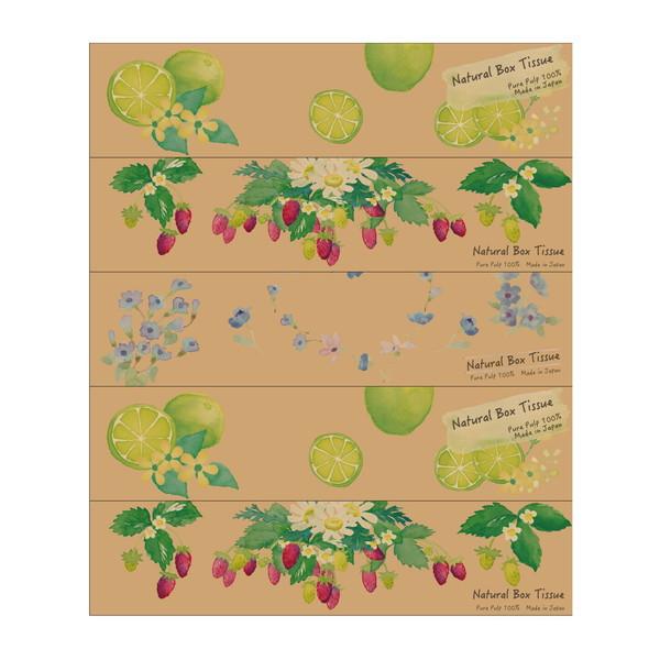 カミ商事 エルモア Kazaru×Krafty ナチュラル ティッシュペーパー4971633004504箱をかざって楽しむティシュー ボックスティッシュ紙製品:ティッシュペーパー広告文責：アットライフ株式会社TEL 050-3196-151...