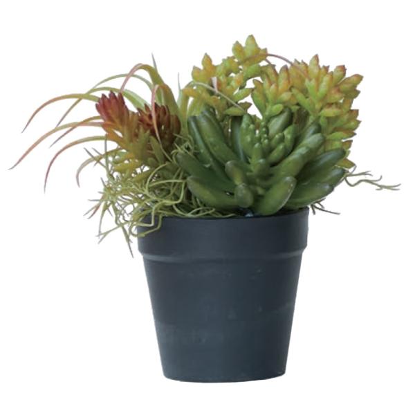 人工観葉植物 ミニアレンジメント ポット SB 21（1個入り）MIRAKANA 多肉植物 卓上サイズ インテリア フェイクグリーン 造花 POT SUCCULENT店内 リビング マンション モデルハウス 新築 施設 病院ホテル レストラ...
