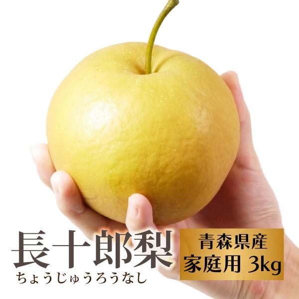 昔懐かしい「長十郎梨（ちょうじゅうろうなし）」です。9月中旬以降の発送予定です常温発送ですが暑いのでお届け後は冷蔵保管にてお早めにお召し上がりください。最近は幸水や洋ナシなどの人気種の普及で生産者が減少、いまや“幻の梨”とも呼ばれる品種です...