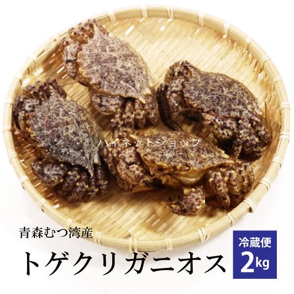 青森トゲクリガニオス（むつ湾産　活カニ）漁業者さんが獲れたてのトゲクリガニを輪ゴムで縛って（カニは共食いをしてしまうので）発送いたします。水揚げ次第の発送となります。海の状況や水揚げによっては1週間〜10日ほどお待たせする場合もございます。...