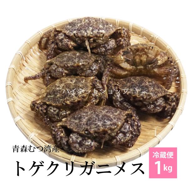 今年は気候のせいか例年より小さい個体が多く、内子の入りも不安定となります。その点をご了承いただけるお客様はご検討をお願いいたします。希少な内子（たまご）が楽しめる青森トゲクリガニのメス　栗のように甘いことから栗ガニと言われるトゲクリガニなの...
