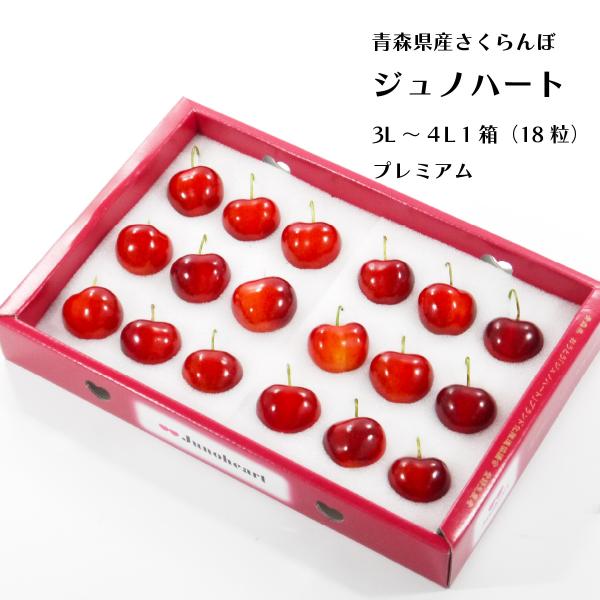 プレミアムサイズの青森県産さくらんぼ「ジュノハート」です。7月上旬前後から発送予定です（天候により前後いたしますので、あらかじめ果肉が硬めで日持ちがし、甘みも強い「紅秀峰」に、果実が大きい「サミット」を交配した青森県産のさくらんぼ「ジュノハ...