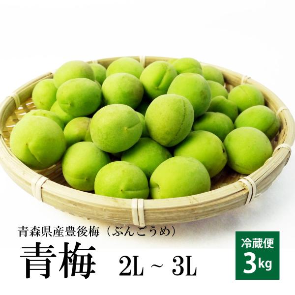 【発売日：2026年06月10日】青森の梅（豊後梅　ぶんごうめ）青梅　梅通販肉厚で粒が大きくきれいな梅なので崩れにくく使いやすいとご好評をいただいております。6月下旬〜7月上旬から出荷予定です（天候により前後いたします）収穫とご注文状況によ...