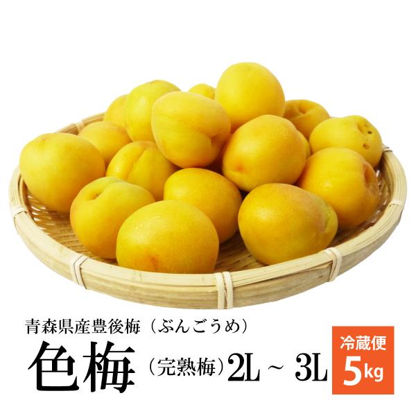 【発売日：2026年06月10日】青森の梅（豊後梅　ぶんごうめ）色梅（完熟梅）　梅通販肉厚で粒が大きくきれいな梅なので崩れにくく使いやすいとご好評をいただいております。7月上旬〜７月下旬期間に出荷予定です天候によっては前後いたします。完熟一...