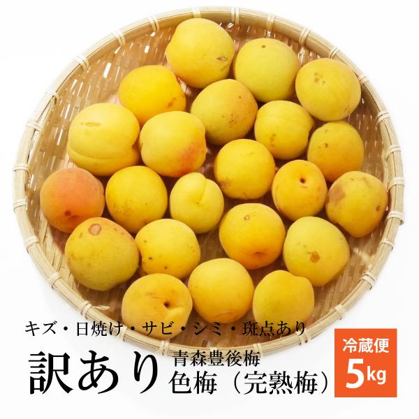 【発売日：2026年06月10日】青森の梅（豊後梅　ぶんごうめ）色梅（完熟梅）　梅通販7月上旬〜７月下旬期間に出荷予定です訳あり（キズ・日焼け・サビ・シミ・斑点あり）のサイズ混合生梅です。青森県南部地方の豊後梅の色梅は完熟手前の色づいた梅で...