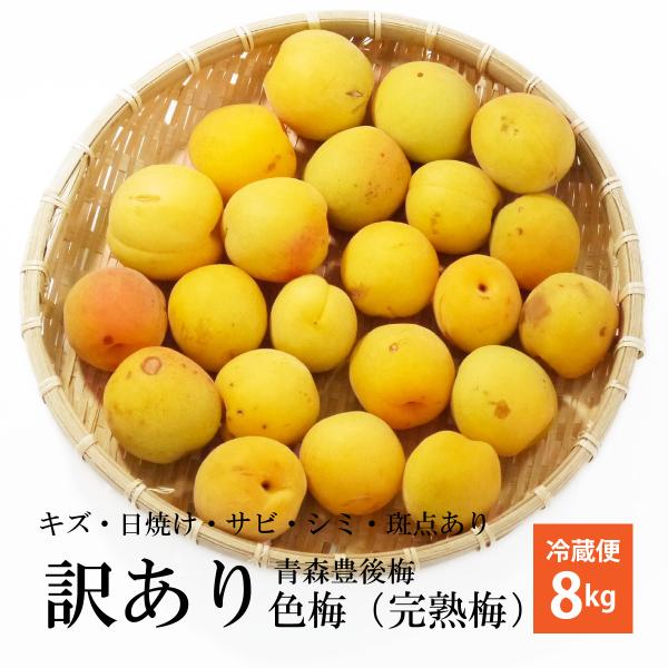 【発売日：2026年06月10日】青森の梅（豊後梅　ぶんごうめ）色梅（完熟梅）　梅通販7月上旬〜７月下旬期間に出荷予定です訳あり（キズ・日焼け・サビ・シミ・斑点あり）のサイズ混合生梅です。青森県南部地方の豊後梅の色梅は完熟手前の色づいた梅で...