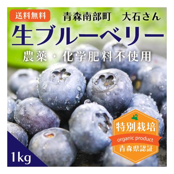 青森県産ブルーベリー生果実（農薬・化学肥料不使用/特別栽培）収穫したての生のままのブルーベリーです。７月上旬〜中旬に発送予定です日付・時間指定はお受けできません「特別栽培農産物」とは青森県では、農薬や化学肥料を使わないか、使用量を通常の５割...