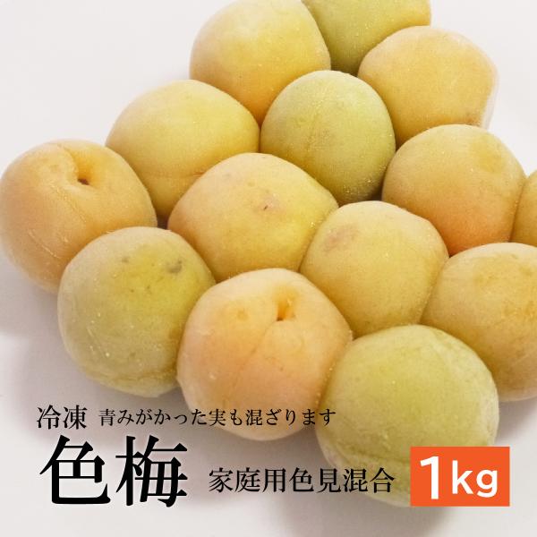 青森県産豊後梅（ぶんごうめ）家庭用規格です（キズ・シミ・へこみ等あり）色が青みがかった実も混ざりますサイズ混合（L〜3Lサイズ）中には色の薄い実も混ざる場合がございます梅の実を収穫後そのまま冷凍しました。梅の実　冷凍梅梅酒・梅ジュース作りに...