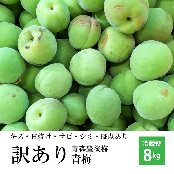 青森の梅（豊後梅　ぶんごうめ）青梅　梅通販訳あり（キズ・日焼け・サビ・シミ・斑点あり）サイズ混合品です肉厚で粒が大きくきれいな梅なので崩れにくく使いやすいとご好評をいただいております。収穫とご注文状況により発送までお待たせする場合がございま...