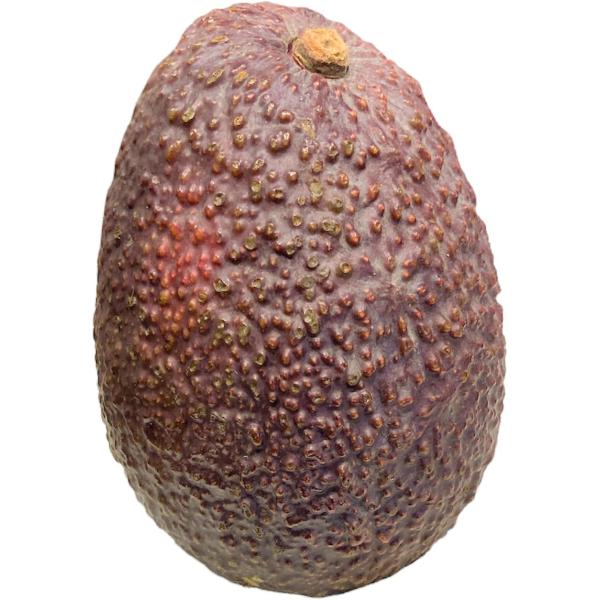 未熟なときは緑、熟すと果皮黒っぽくなるのが特徴。果肉は薄緑色で脂肪分をたっぷり含み、コクがあってネットリとした味わいです。