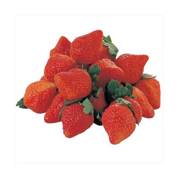 いちご 1パック。