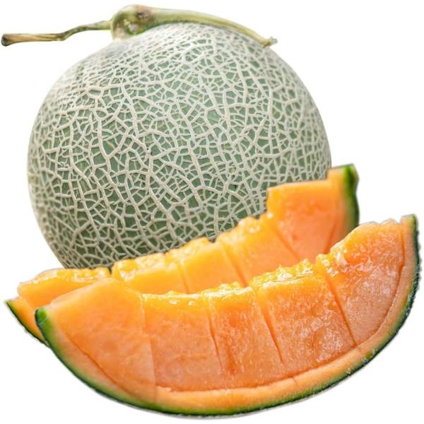 016年、ついにイタリアからのウリ科の輸入が解禁となり、日本初上陸となったイタリア・シチリア産赤肉メロン