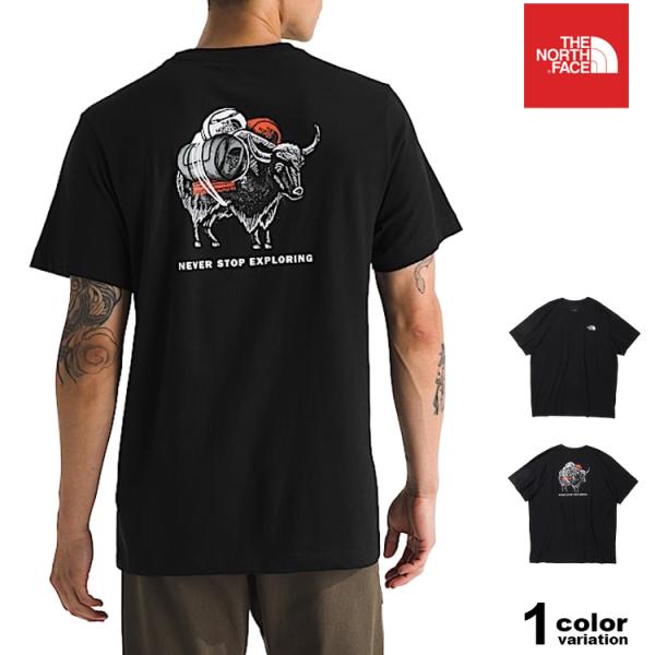 [ブランド]THE NORTH FACE (ノースフェイス)[アイテム] 半袖 Tシャツ Evolution Vault Tri Pack Tee[素材]コットン100%【コメント】バックに大胆なグラフィックを配した、インパクト抜群の半袖T...