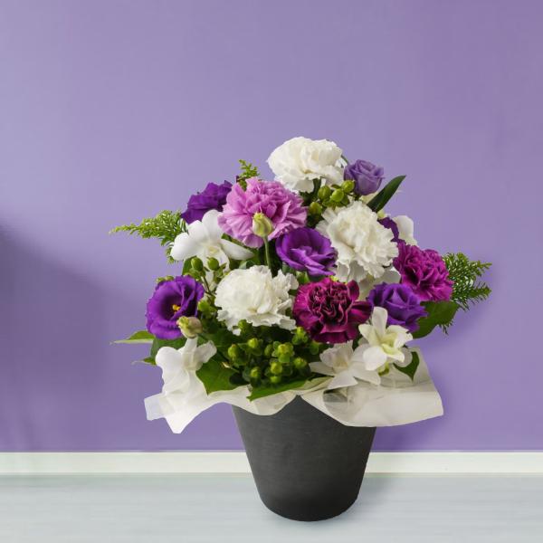 ●サイズ(約)　横25×高さ35cm ※植物ですので、写真イメージと花色などが多少変わることがございます。 【お届け期間】通年 【カードにつきまして】ご不要・その他ギフトカードをご希望の場合、ご注文メモ欄にご記入ください。 【送料について】...
