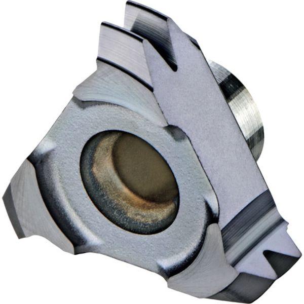 ・高い精度と優れた加工性を持ち合わせた研磨チップです。・高い加工条件で、美しい表面仕上げとなります。・安定した高精度のクランプ方式により、繰り返し精度が向上しました。・右ねじ、左ねじともに、同じチップで加工できます。・ピッチ(mm)：2.0...