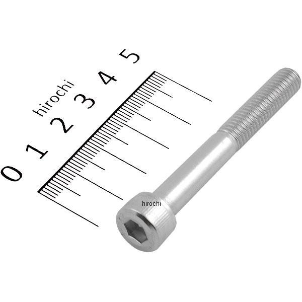 アールズギア r's gear ステンキャップボルト M8X60XXBL-CBM8-60XXBL-CBM8-60ヤフー HD店
