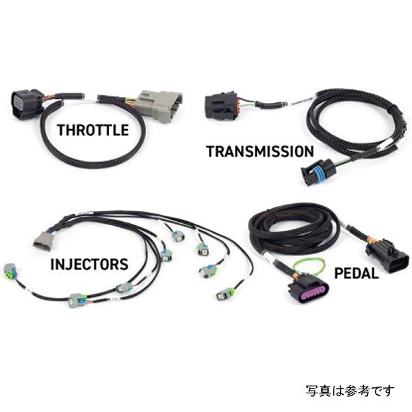 Haltech NEXUS Rebel LS キット (Suits Gen IV) 6-Pin DBW Throttle/EV6 インジェクター/Manual Transmissionメーカー：Haltechメーカー品番：HT-220204...