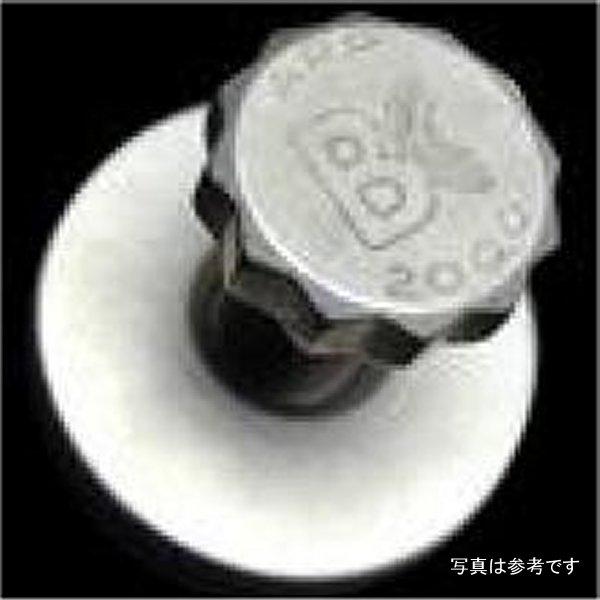 Brian Crower Toyota 2JZ/1JZ Cam Gear Bolt w/ Washerメーカー：Brian Crowerメーカー品番：BC8890・掲載画像は、カタログより抜粋した参考画像となっております。ご不安な場合は、メ...