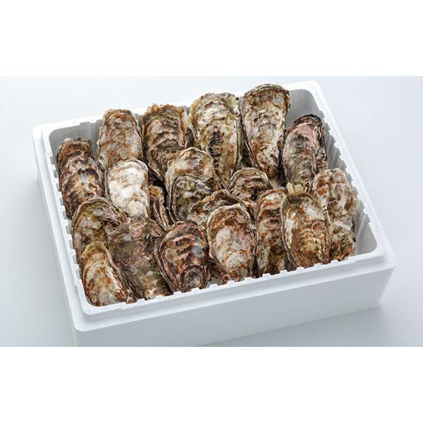 広島県宮島周辺の清浄海域を漁場とし、大竹市玖波漁港に水揚げされた「牡蠣」です。清浄海域は、生食用指定海域で塩分濃度、雑菌、大腸菌等基準をクリアーした海域です。牡蠣は大変デリケートな食品です。届き次第速やかにお召し上がりください。また、BBQ...