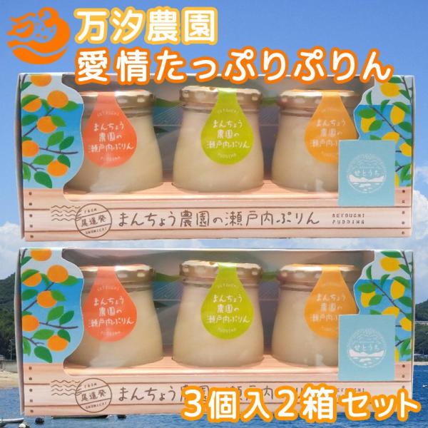 しまなみ海道の豊かな自然に育まれた地元の柑橘を使った優しい味わいのぷりんです。人気の3種をセットにしました。