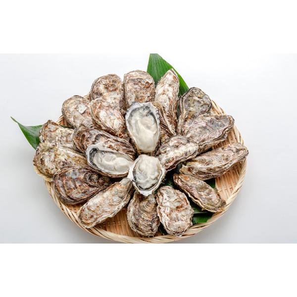 広島県宮島周辺の清浄海域を漁場とし、大竹市玖波漁港に水揚げされた「牡蠣」です。清浄海域は、生食用指定海域で塩分濃度、雑菌、大腸菌等基準をクリアーした海域です。牡蠣は大変デリケートな食品です。届き次第速やかにお召し上がりください。また、BBQ...