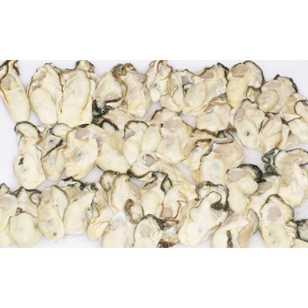 打ったその日に直送！網岡さんのプリプリの広島牡蠣なのですが、打ち子さんがキズを付けてしまった（アウトレット）商品です。最終でギフト商品には入れれないとはじかれてしまったりした生牡蠣になります。まず問題はございません。絶対にお買い得！