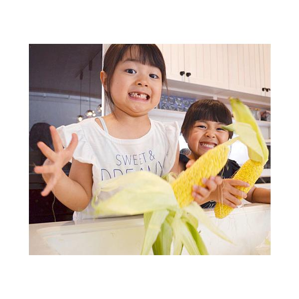 【発売日：2026年08月02日】ひるぜん農園は、西日本最大級のトウモロコシ生産者です。●　商品内容・訳ありとうもろこし20本 (品種は白、黄色、もしくは白と黄色のハイブリッドになります。お届けするのは、これらのミックス、または単品種になり...