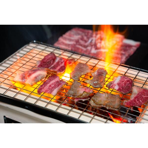 宮崎牛の最大の特徴は、その肉質とその霜降りの良さにあります。等級4級以上の赤身は、締りが良く、滑らかな舌触り。肉全体に散りばめられた、キメの細かな霜降りがもたらすジューシーで柔らかな脂肪は、芳醇なコクでありながらもしつこくなく、口の中でさっ...