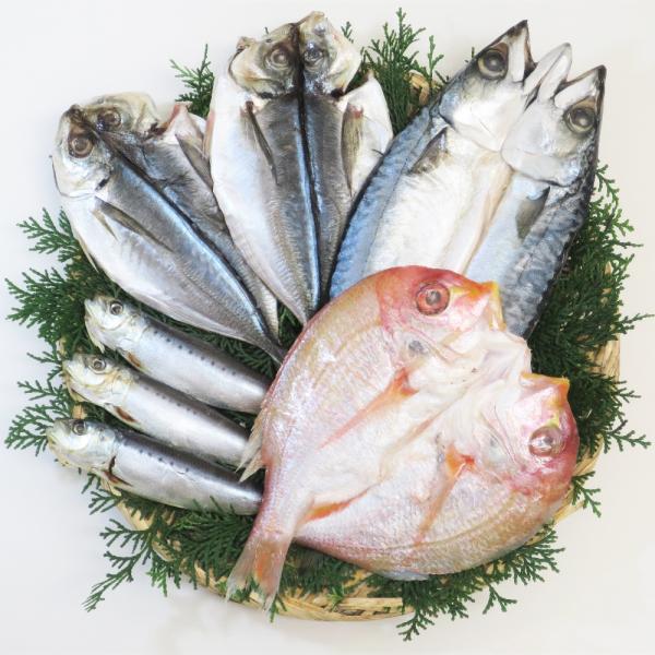 九州各地の漁港で水揚げされた、天然鮮魚を手早く開き、五島灘の自然の海水から作った塩で甘塩加工し、低温熟成乾燥で仕上げた一夜干しです。【内容量・重量】れんこ鯛130g×1、真サバ160g×1、真あじ90g×2、真いわし30g×3【保存・賞味期...