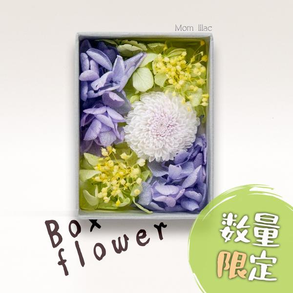 ＼今だけ限定／アウトレットセール！プリザーブドフラワー（サイズ：約7.5×5.5×2.6cm）生花のようなリアルな見た目と、長く楽しめる美しさが魅力のプリザーブドフラワー。コンパクトなサイズ感（7.5cm×5.5cm×2.6cm）で、飾る場...