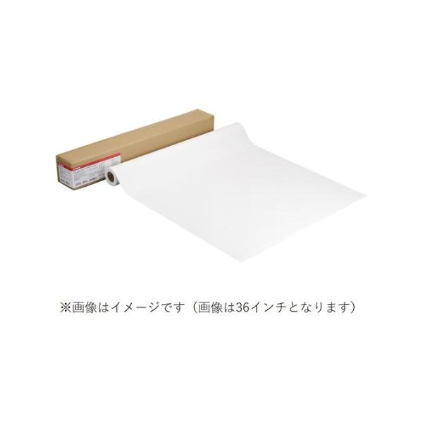 屋外用途に適した高耐水・高耐光な合成紙ベースのキヤノン純正耐水ポスター用紙。ラミネートなしで最長6ヶ月相当の屋外掲示が可能です。入り数：1本 / 箱サイズ:24インチ(610mm×30.5m)坪量:110g / m2