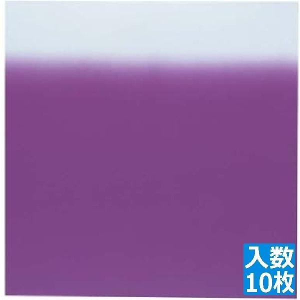 テイケイジイ ( TKG ) RHL6101 日用品雑貨・文房具・手芸 冠婚葬祭 風呂敷