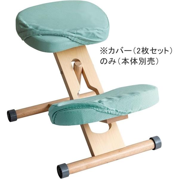 宮武製作所 ミヤタケ ( MIYATAKE ) CV-N8W インテリア・寝具・収納 イス・チェア バランスチェア