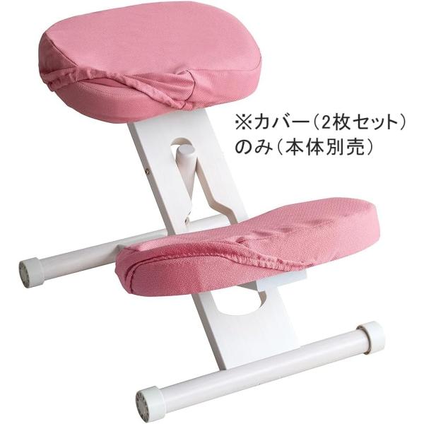 宮武製作所 ミヤタケ ( MIYATAKE ) CV-N8W インテリア・寝具・収納 イス・チェア バランスチェア