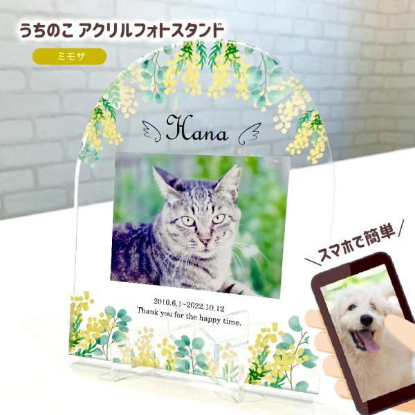 お写真・お名前・お誕生日を入れることができる、世界にひとつだけのフォトスタンドです。透明感のあるアクリルに、かわいいミモザのフレームをあしらいました。耐久性に優れたアクリルに、写真を直接印刷いたします。心をこめて制作させていただきます。【ご...