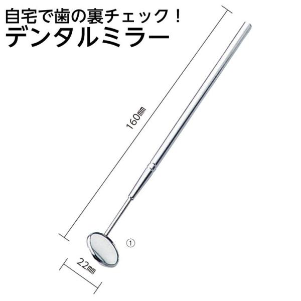 プロが使う歯鏡。（デンタルミラー） 自宅でも歯の裏や歯の隙間の状態チェックに！ご使用前に煮沸消毒をお勧め致します 配送方法ＤＭ便またはネコポス便でのお届けとなります。 代引不可・他の商品との同梱不可となります。ご注意ください。 本体サイズ2...