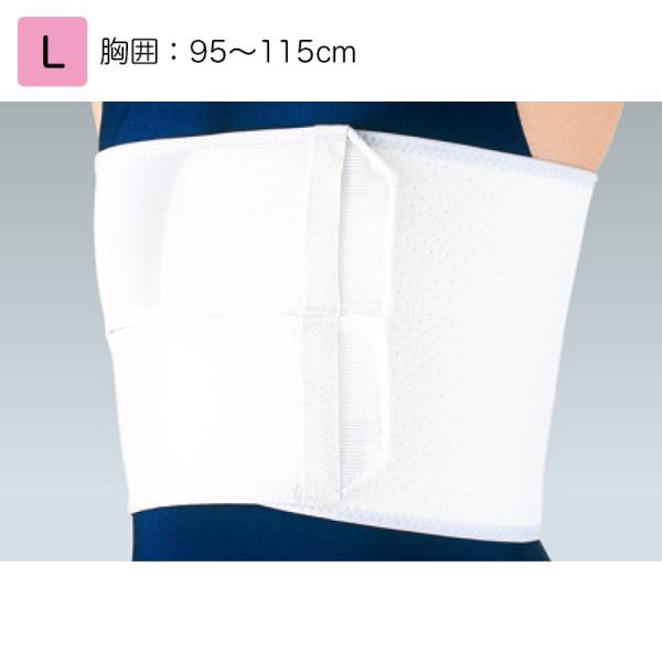 胸部の圧迫・固定に。●ズレを防ぎ、フィット性を高める伸縮部2分割構造で圧迫力の調節も可能です。●装着補助フックにより、脱着を容易にします。●面ファスナー部に軟性プラスチック板を内蔵し、伸縮部のねじれやシワを防ぎます。 サイズL適用範囲（胸囲...