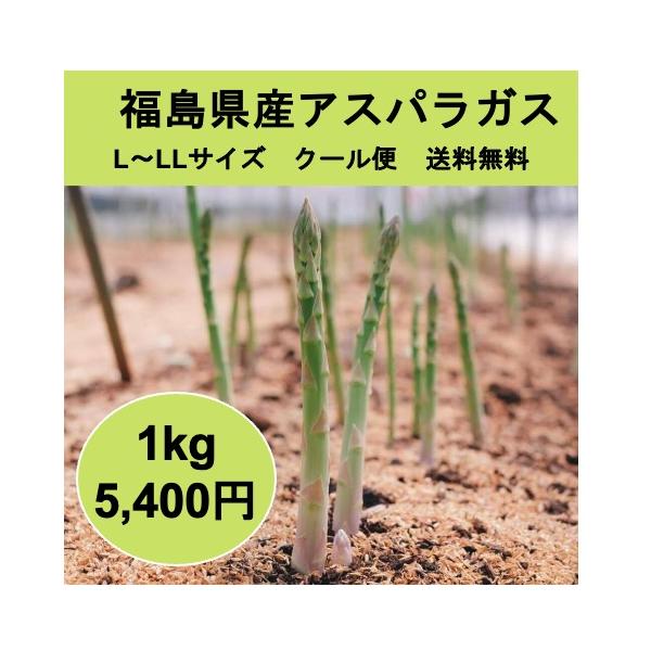 福島県国見町産食べ応えバッチリ◎太くて甘い！旬のグリーンアスパラガス！サラダや炒め物、天ぷらに！ーーーーーーーーーJGAP認定・福島県のエコファーマー認定を受けた生産者さんが、化学肥料・化学農薬を削減して栽培した、安心・安全のアスパラガスで...