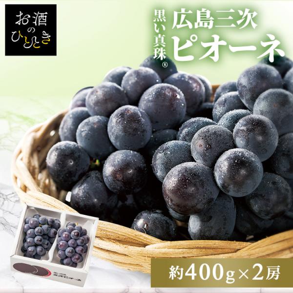 （検索用：ぶどう・広島・果物・ピオーネ・爽やか・黒い真珠・三次・）[翌日優良配送対象商品に関しまして]下記の場合は対象外となります。・13時以降(休業日は12時以降)のご注文の場合・お届け先が対象地域外の場合(離島含む)・決済完了確認にお時...