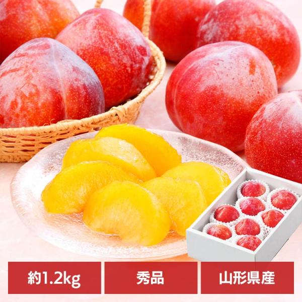 （検索用：山形県産・プラム・秋姫・すもも・お取り寄せ・送料無料・産地直送・フルーツ・ご褒美・季節の贈り物・）[優良配送・届け日指定対象商品につきまして]下記の場合は対象外となります。・13時以降(休業日は12時以降)のご注文の場合・お届け先...