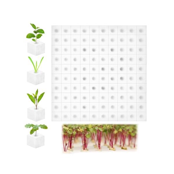 ホワイト/ミディアム/-・パッケージ内容スポンジ1個（小さなスポンジ100個）が付属します。各小さなスポンジのサイズは約25×25×25 mmです。別々に使用することもできます。・素材: 環境に優しく安全な素材で作られたこれらのスポンジは、...